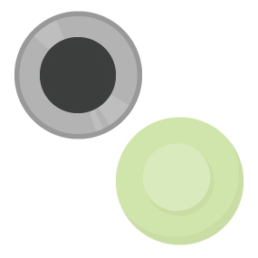 Creative Cakes: A Guide to Pastry Tips