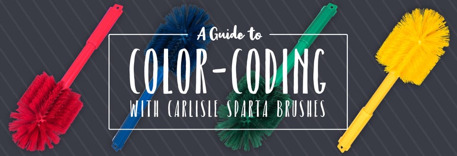 A Guide to Color-coding with Carlisle Sparta Brushes