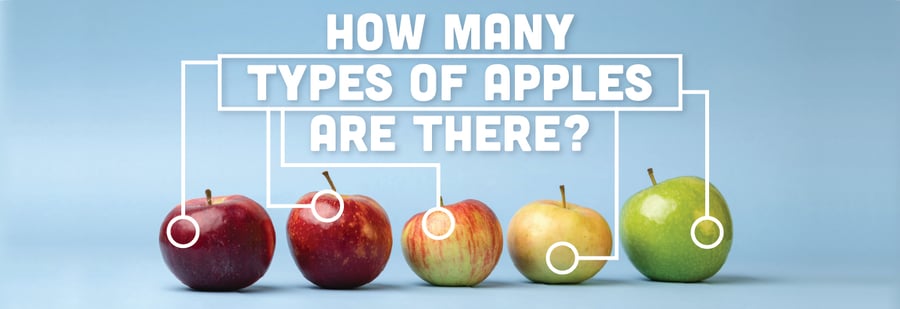 Types of Apples