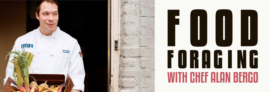 Food Foraging with Chef Alan Bergo