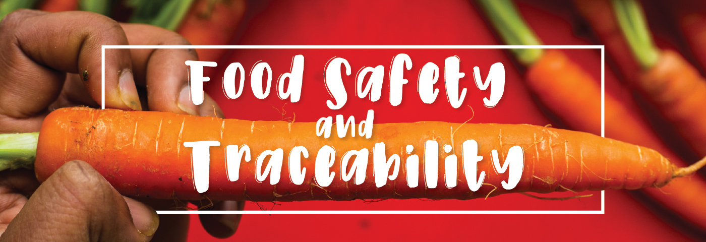 Modern Food Traceability for Today's Supply Chain